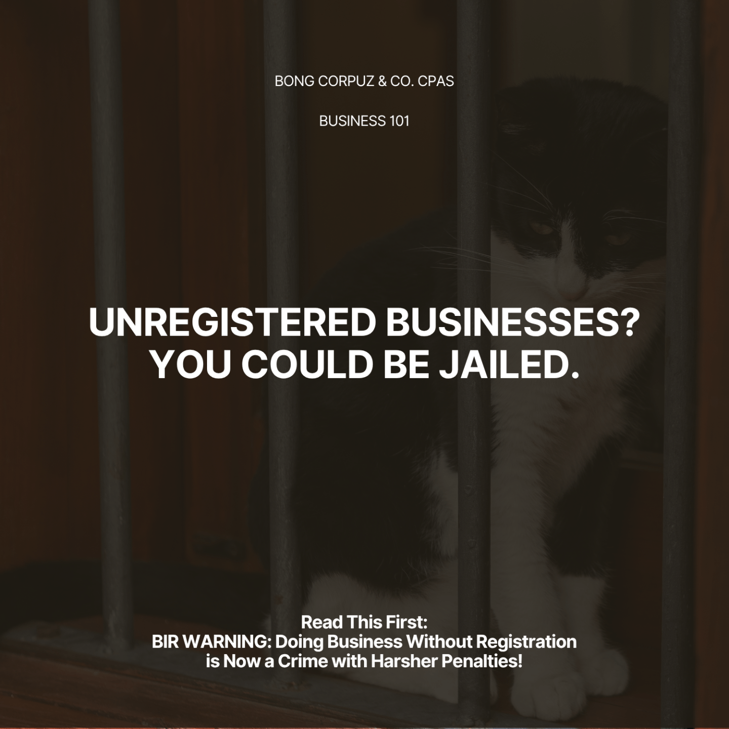 BIR WARNING: Doing Business Without Registration is Now a Crime with ...